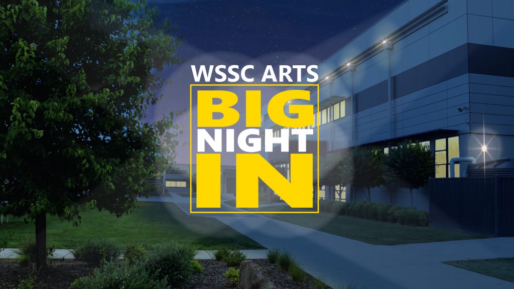 WSSC Arts | Big Night In 2021 | Wodonga Senior Secondary College