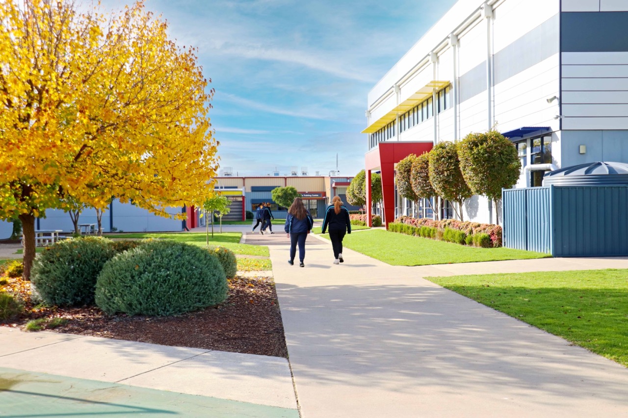 VCAL Interviews – Week 9 | Wodonga Senior Secondary College